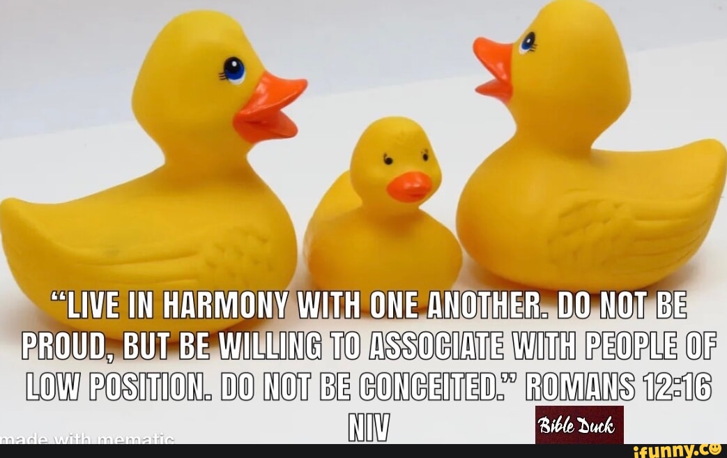 Conceited memes. Best Collection of funny Conceited pictures on iFunny