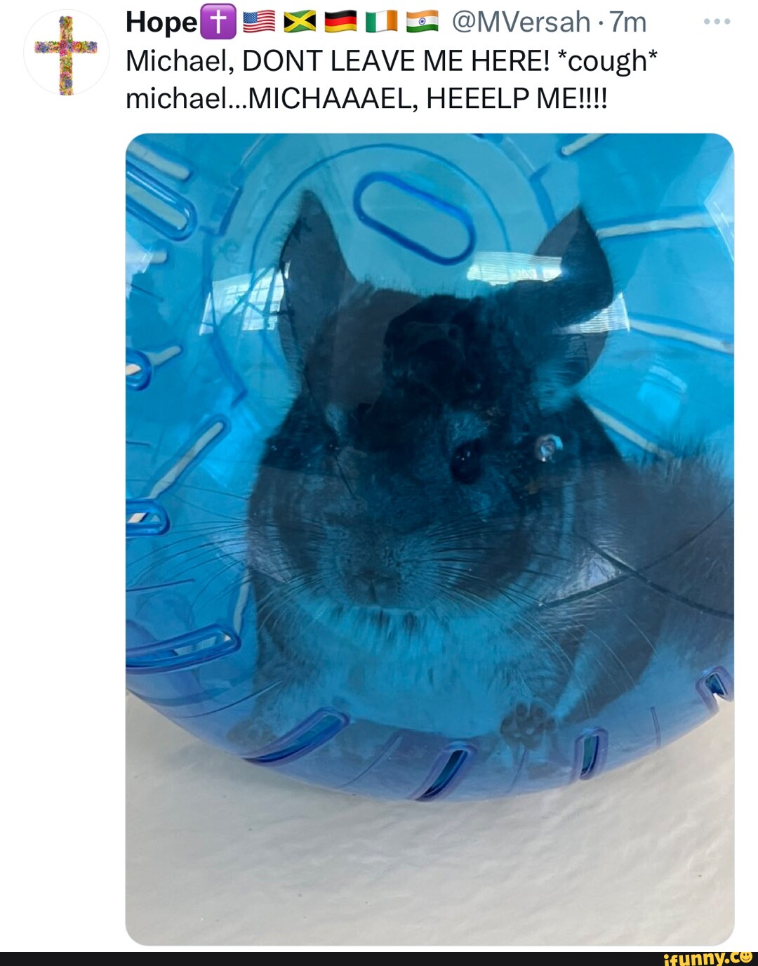 Downfall hitler parodies starter pack HITLER PLAYS HITLER PLAYS CALM ...