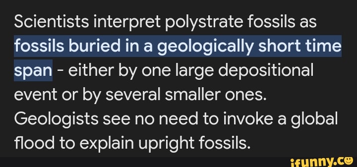 Scientists interpret polystrate fossils as fossils buried in a ...