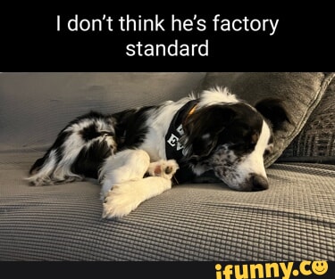 Standard memes. Best Collection of funny Standard pictures on iFunny