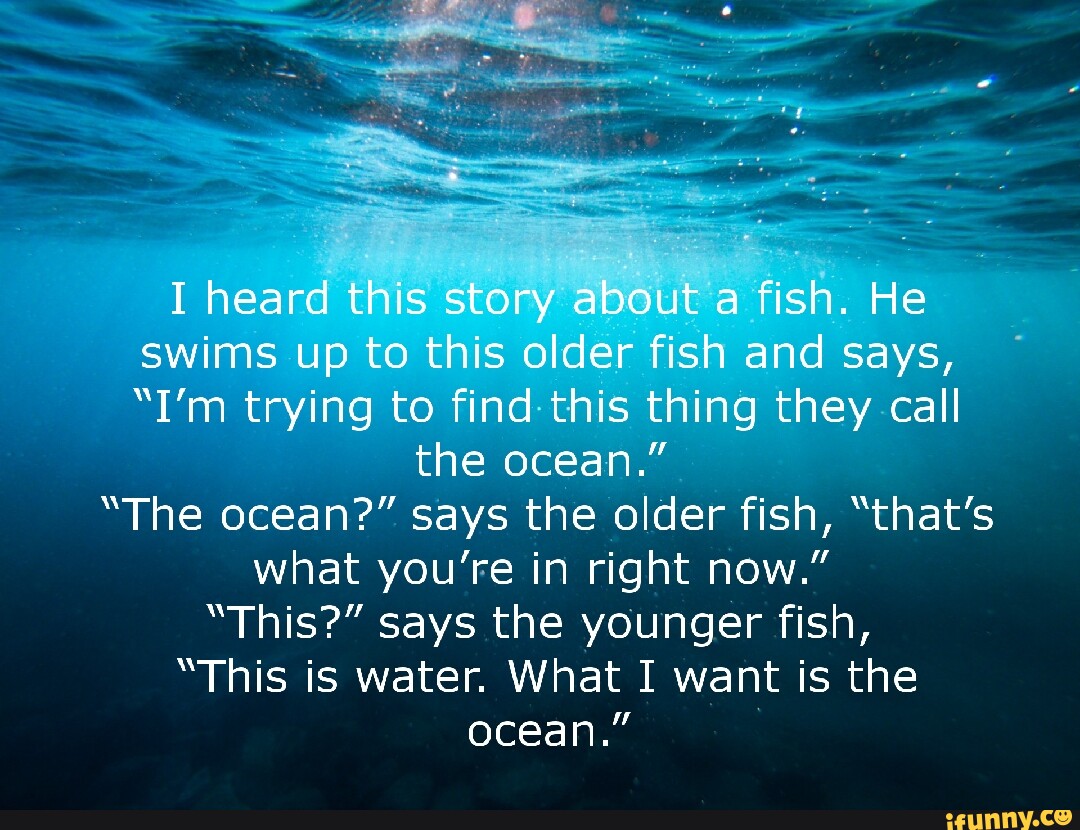 I heard this story about a fish. He swims up to this older fish and ...