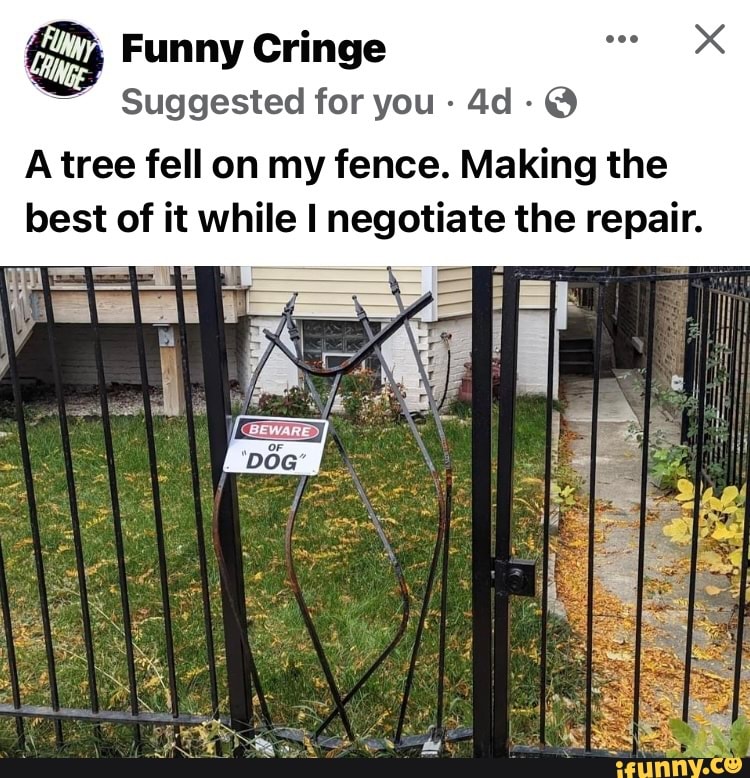 & Funny Cringe Suggested for you tree fell on my fence. Making the best ...