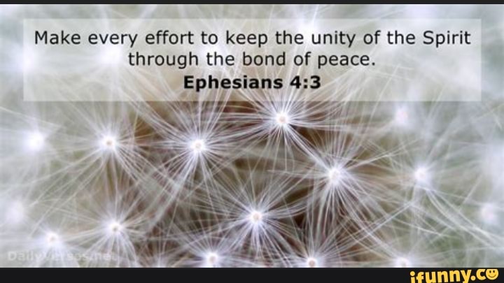 Make every effort to keep the unity of the Spirit through the bond of ...