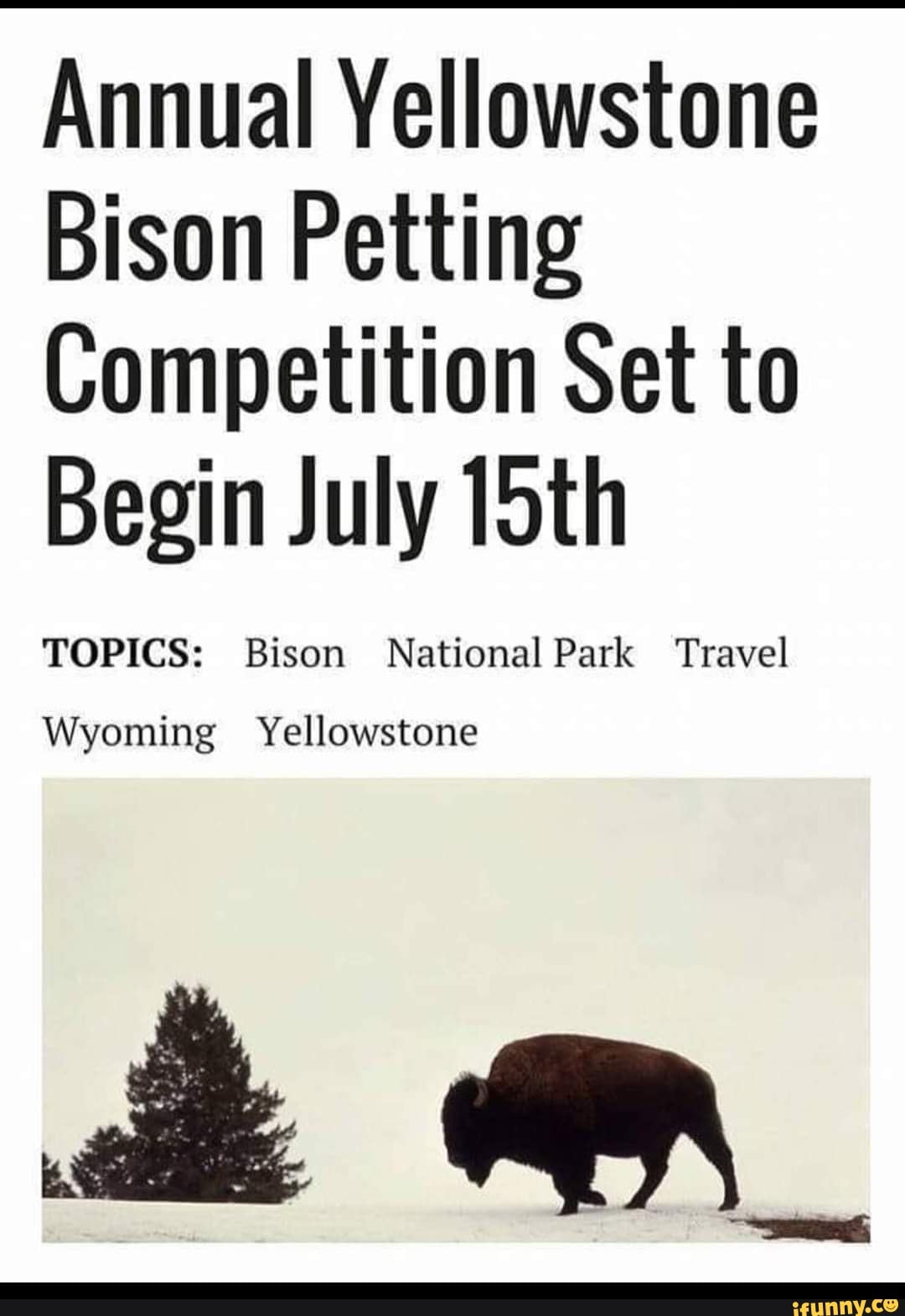 Yellowstone memes. Best Collection of funny Yellowstone pictures on iFunny