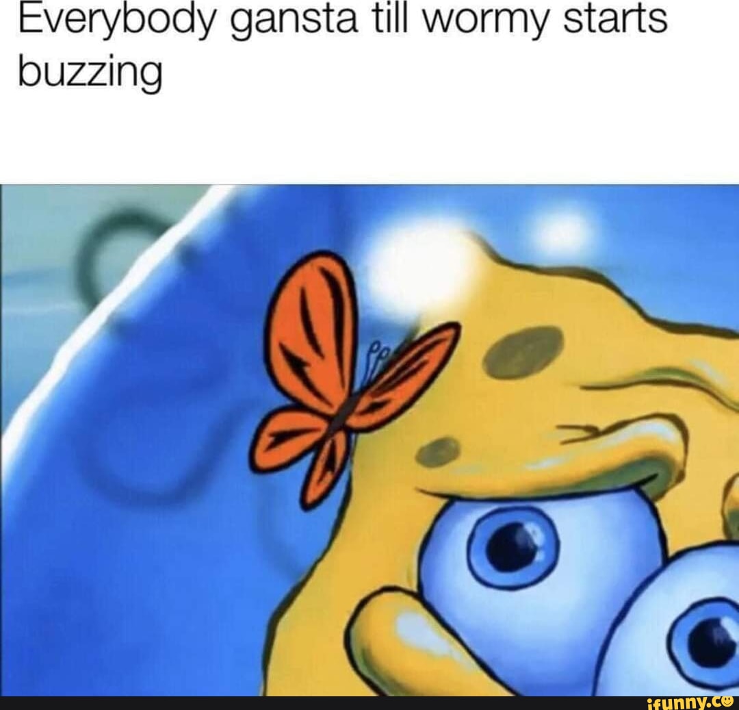 Gansta memes. Best Collection of funny Gansta pictures on iFunny