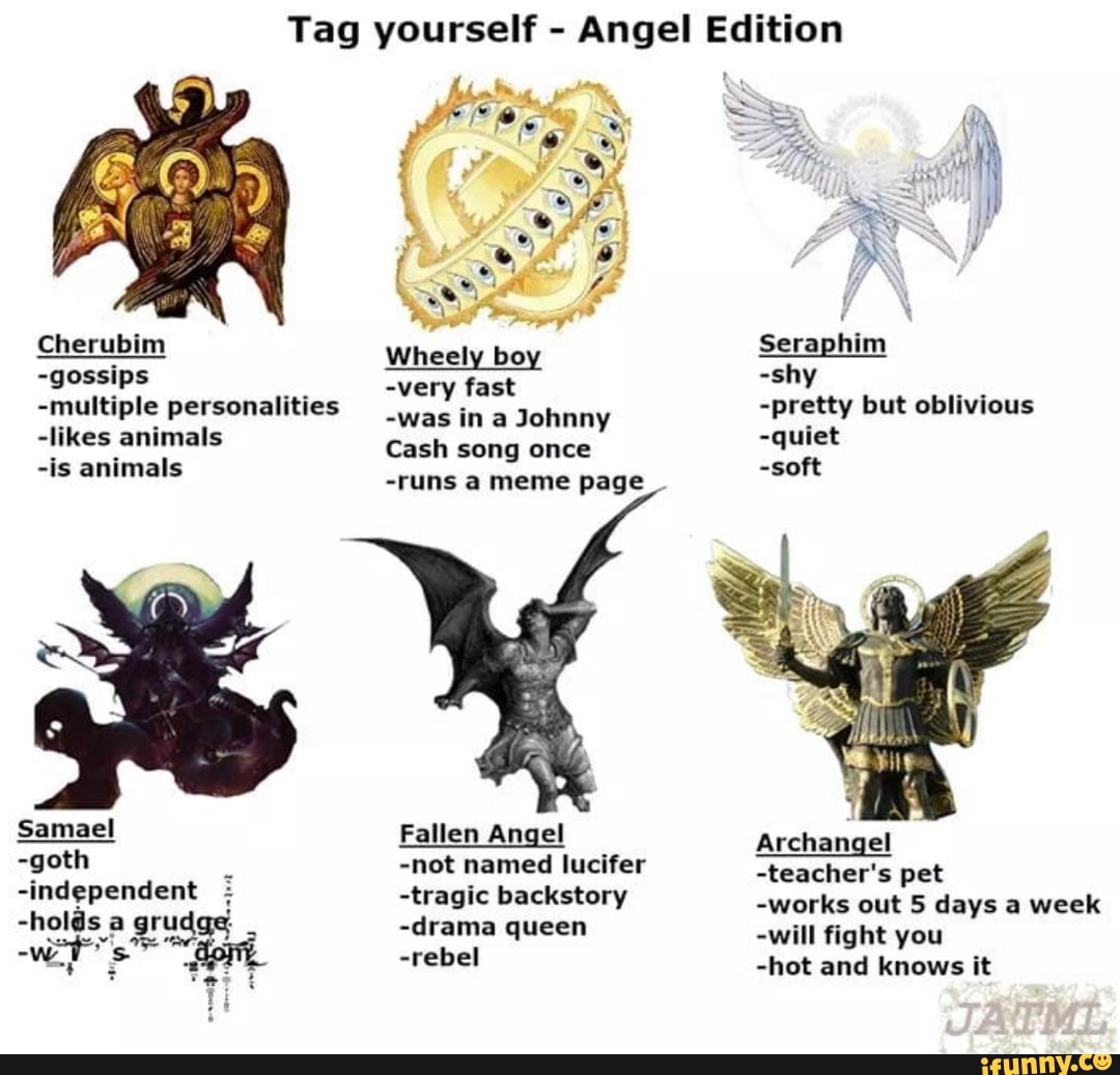 Wheelangel memes. Best Collection of funny Wheelangel pictures on iFunny