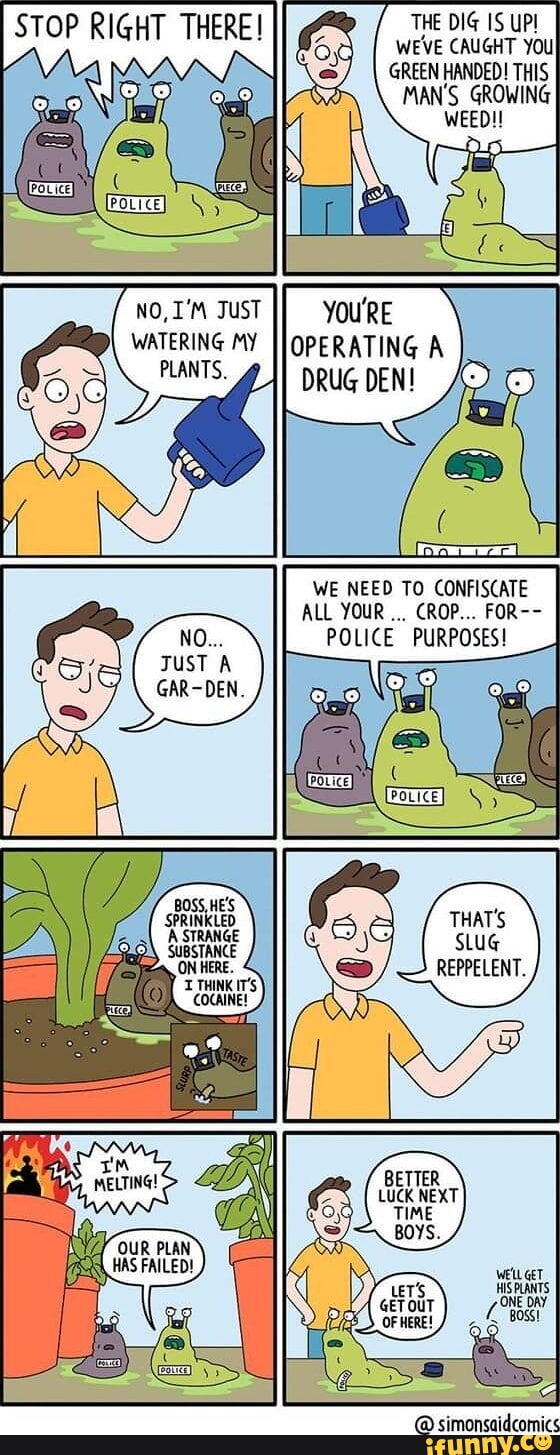 Dig memes. Best Collection of funny Dig pictures on iFunny