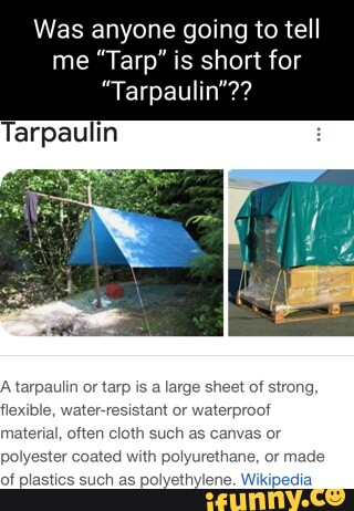 Tarpaulin memes. Best Collection of funny Tarpaulin pictures on iFunny