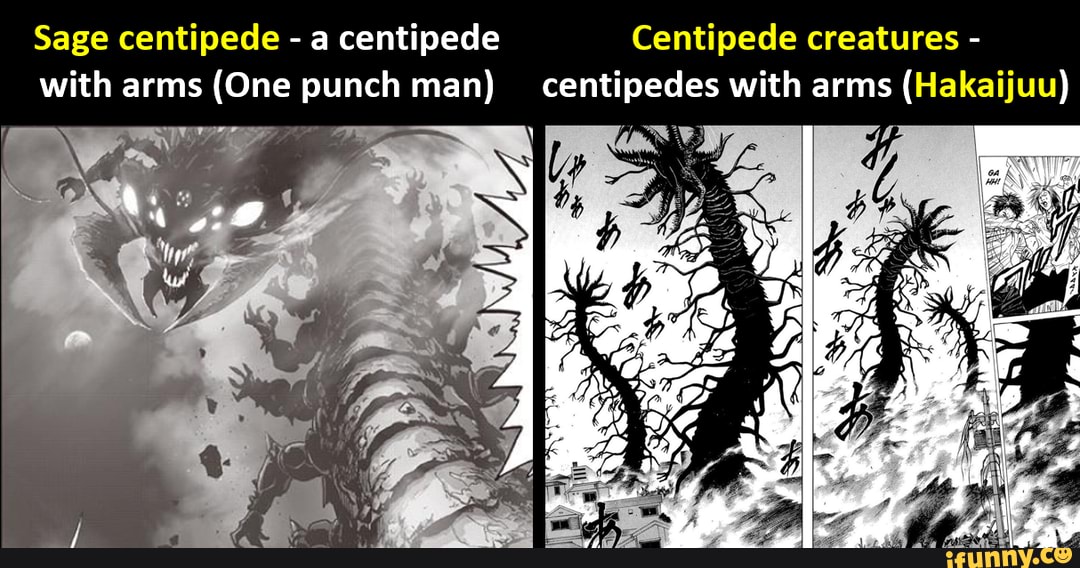 Sage centipede - a centipede Centipede creatures - with arms (One punch ...