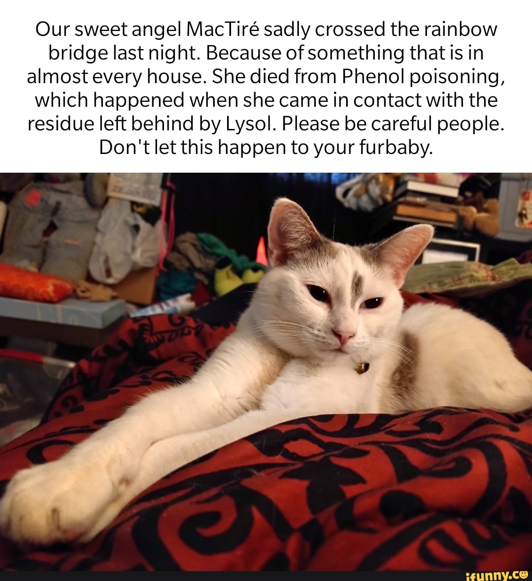 Phenol memes. Best Collection of funny Phenol pictures on iFunny