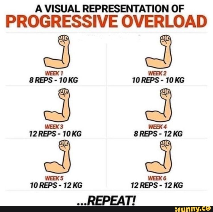A VISUAL REPRESENTATION OF PROGRESSIVE OVERLOAD di WEEK WEEK 2 8 REPS ...