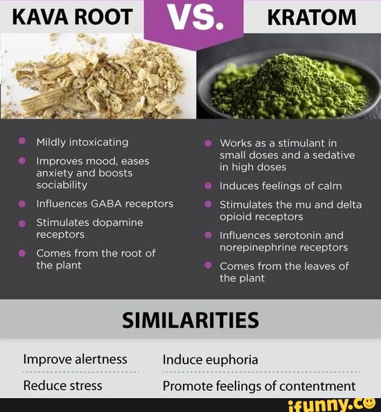 KAVA ROOT Mildly intoxicating Works as a stimulant in small doses and a ...