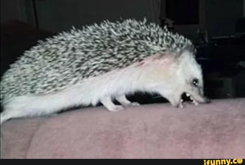 Cursed_bite memes. Best Collection of funny Cursed_bite pictures on iFunny