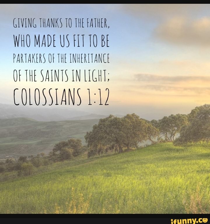 Flt memes. Best Collection of funny Flt pictures on iFunny