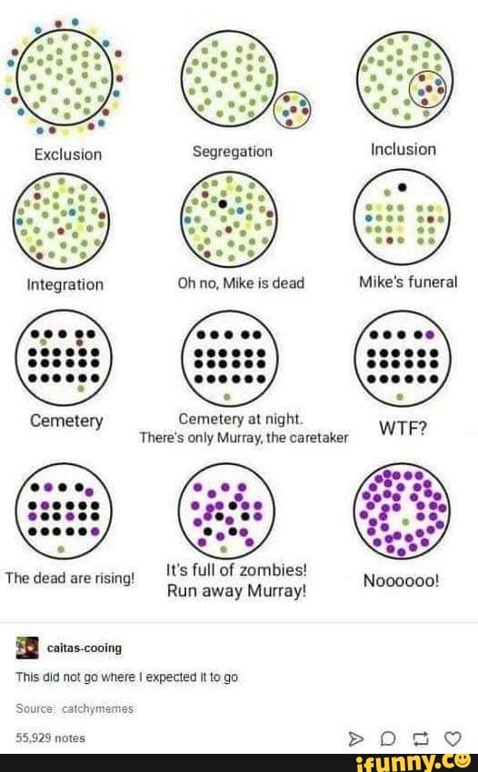 Exclusion Segregation Inclusion Integration Oh no, Mike is dead Mike's ...