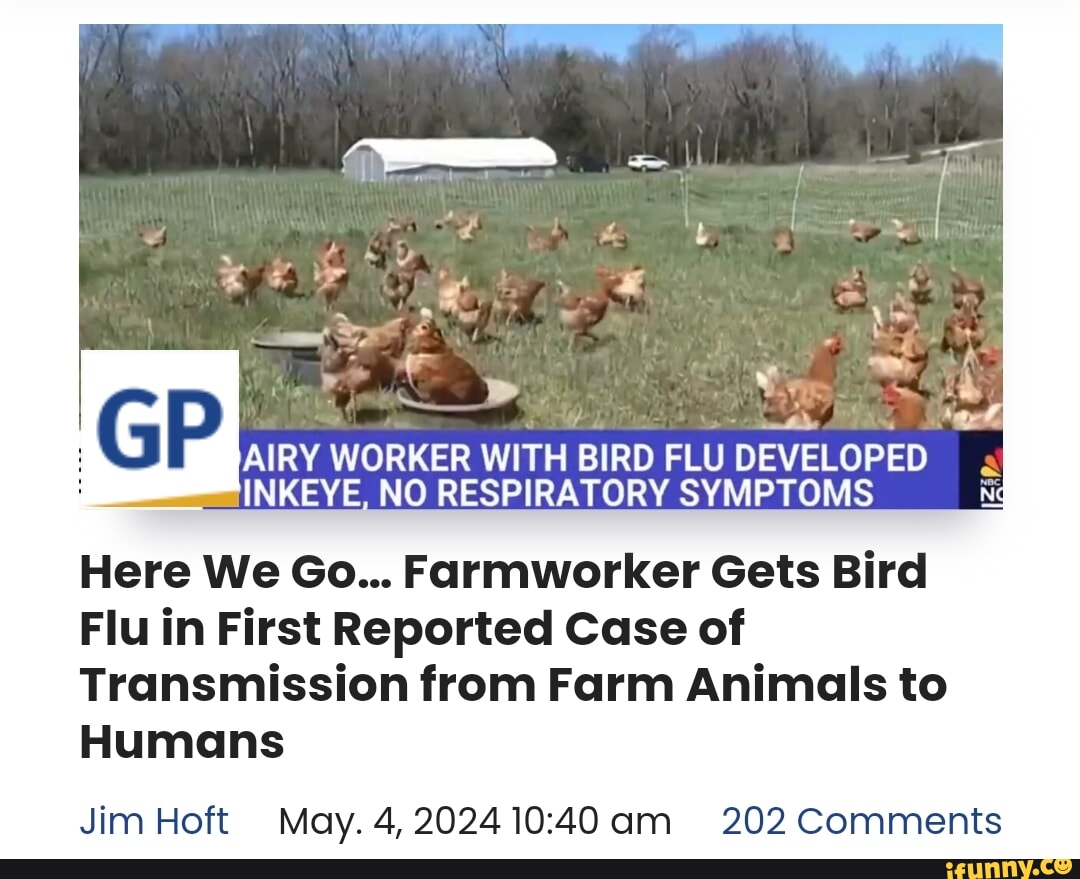 Respiratory memes. Best Collection of funny Respiratory pictures on iFunny