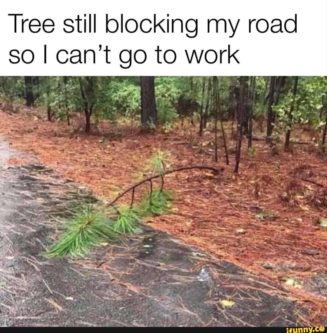Roadblocks memes. Best Collection of funny Roadblocks pictures on iFunny