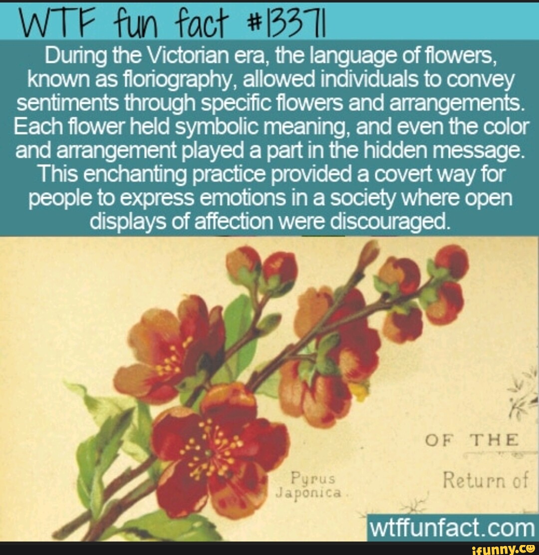 Tun During the Victorian era, the language of flowers, known as ...