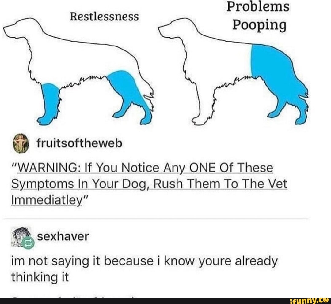 Problems Pooping Restlessness "WARNING: If You Notice Any ONE Of These ...