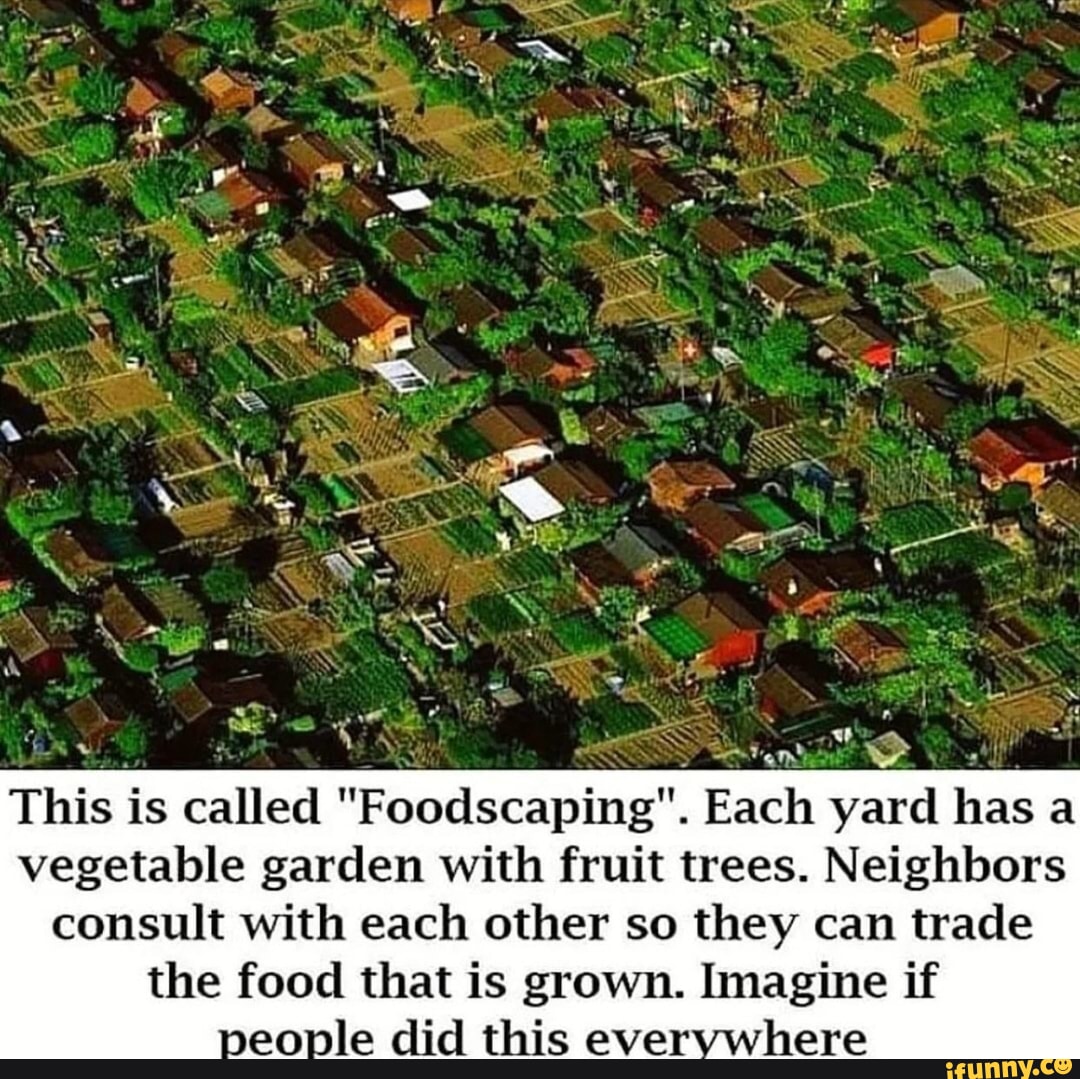 Foodscaping memes. Best Collection of funny Foodscaping pictures on iFunny