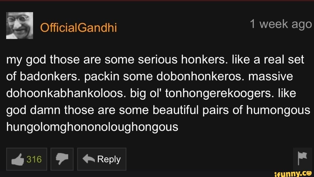 My god those are some serious honkers. like a real set of badonkers ...