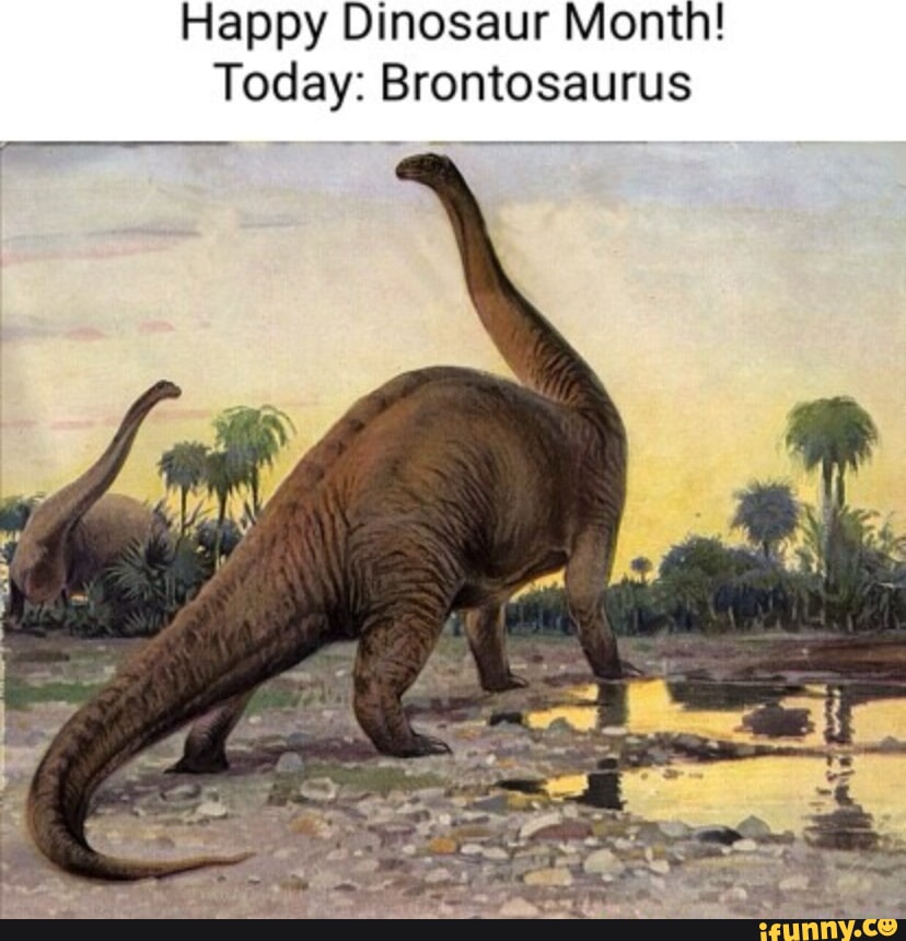 Brontosaurus memes. Best Collection of funny Brontosaurus pictures on ...