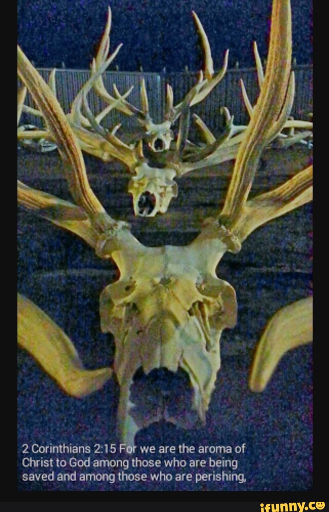 Aroma memes. Best Collection of funny Aroma pictures on iFunny