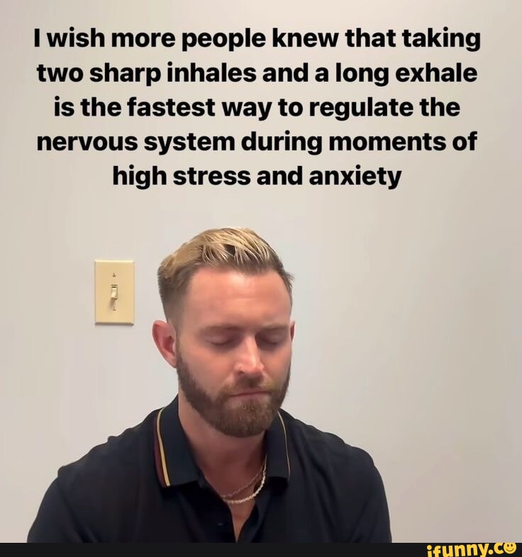 iFunny - the best memes, video, gifs and funny pics in one place