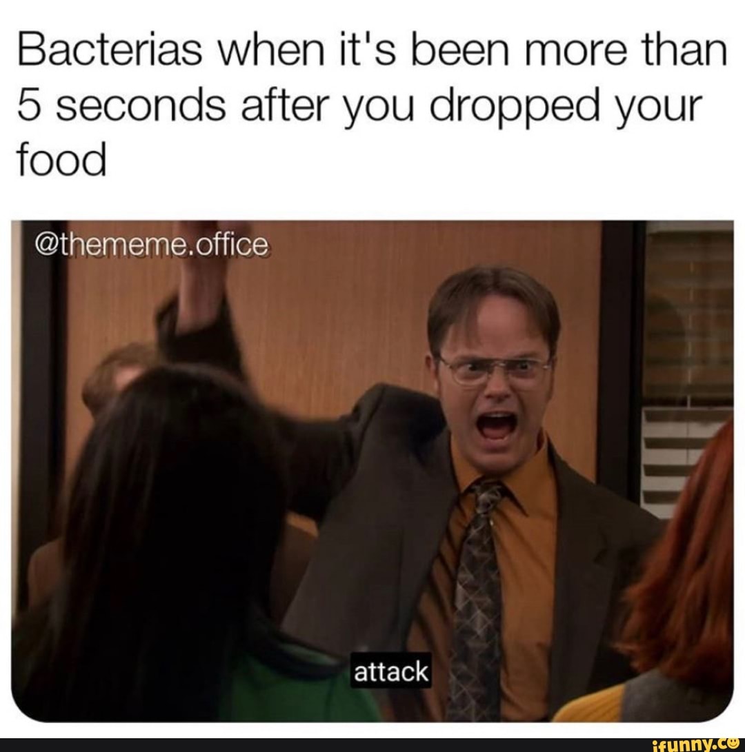 Bacterias when it's been more than 5 seconds after you dropped your ...