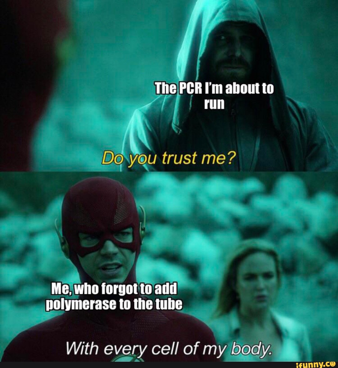 Polymerase memes. Best Collection of funny Polymerase pictures on iFunny