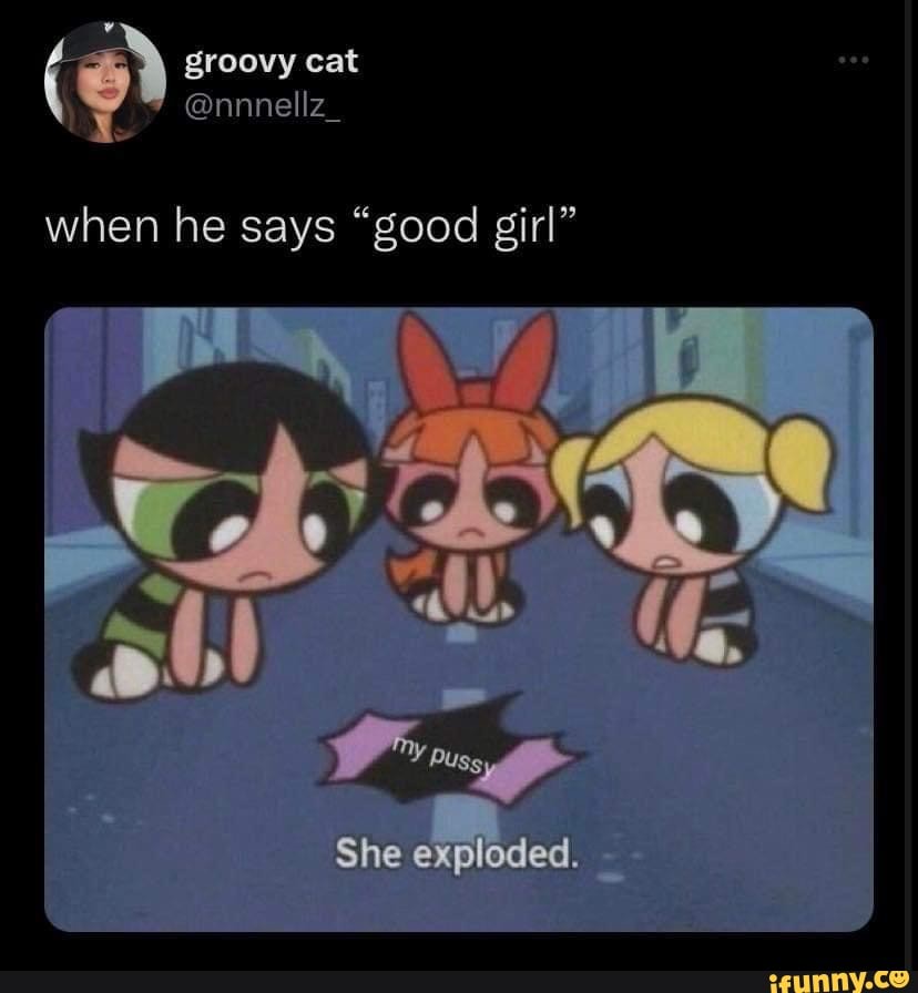 Groovy cat when he says "good girl" \ Q She exploded. - iFunny