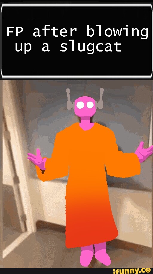 Slugcat memes. Best Collection of funny Slugcat pictures on iFunny
