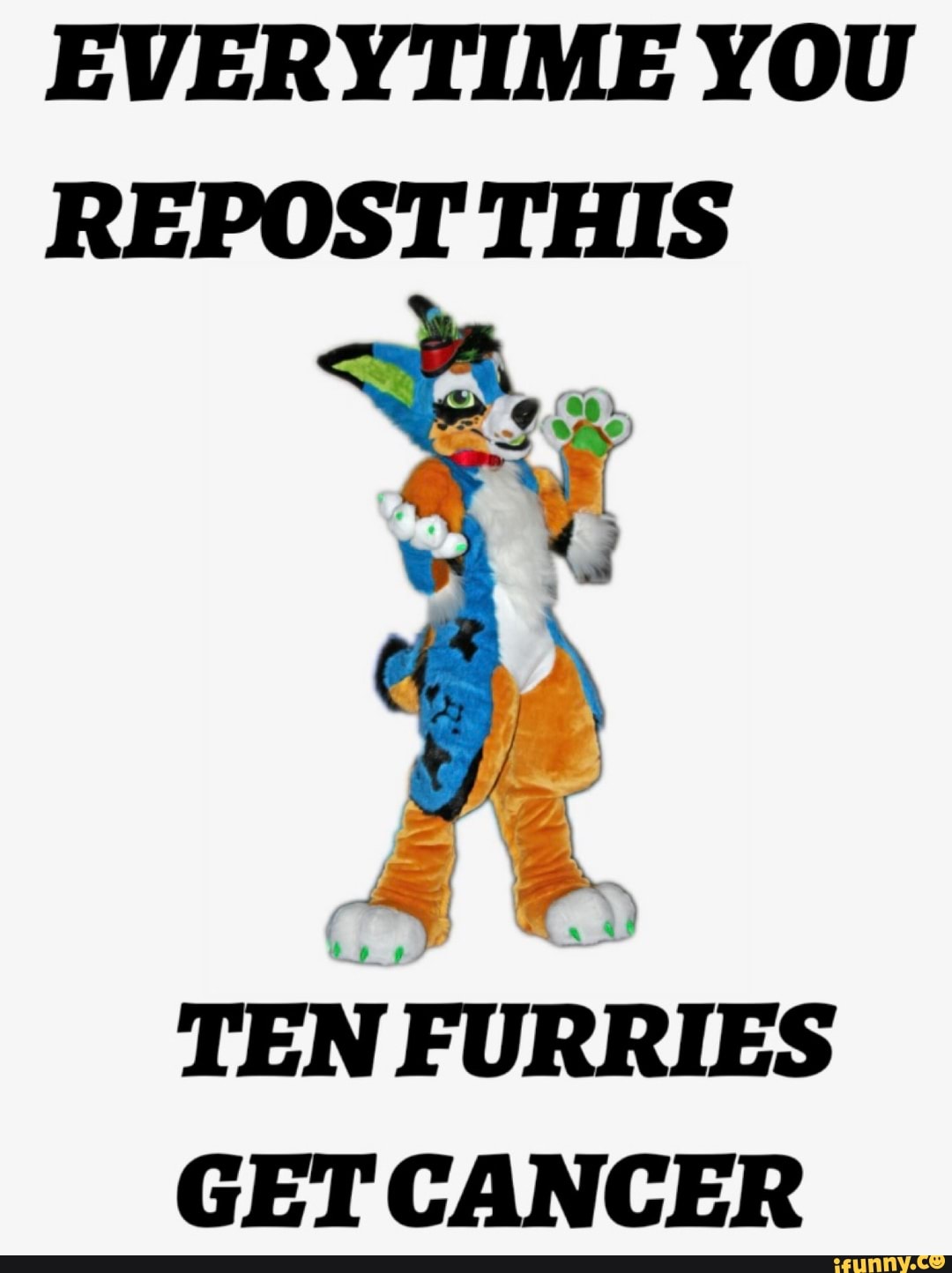 EVERYTIME YOU REPOST THIS TEÚ FURRIES GET CANCER - iFunny
