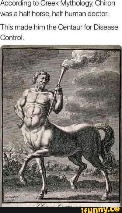 According to thology, Chiron was a half horse, half human doctor his ...
