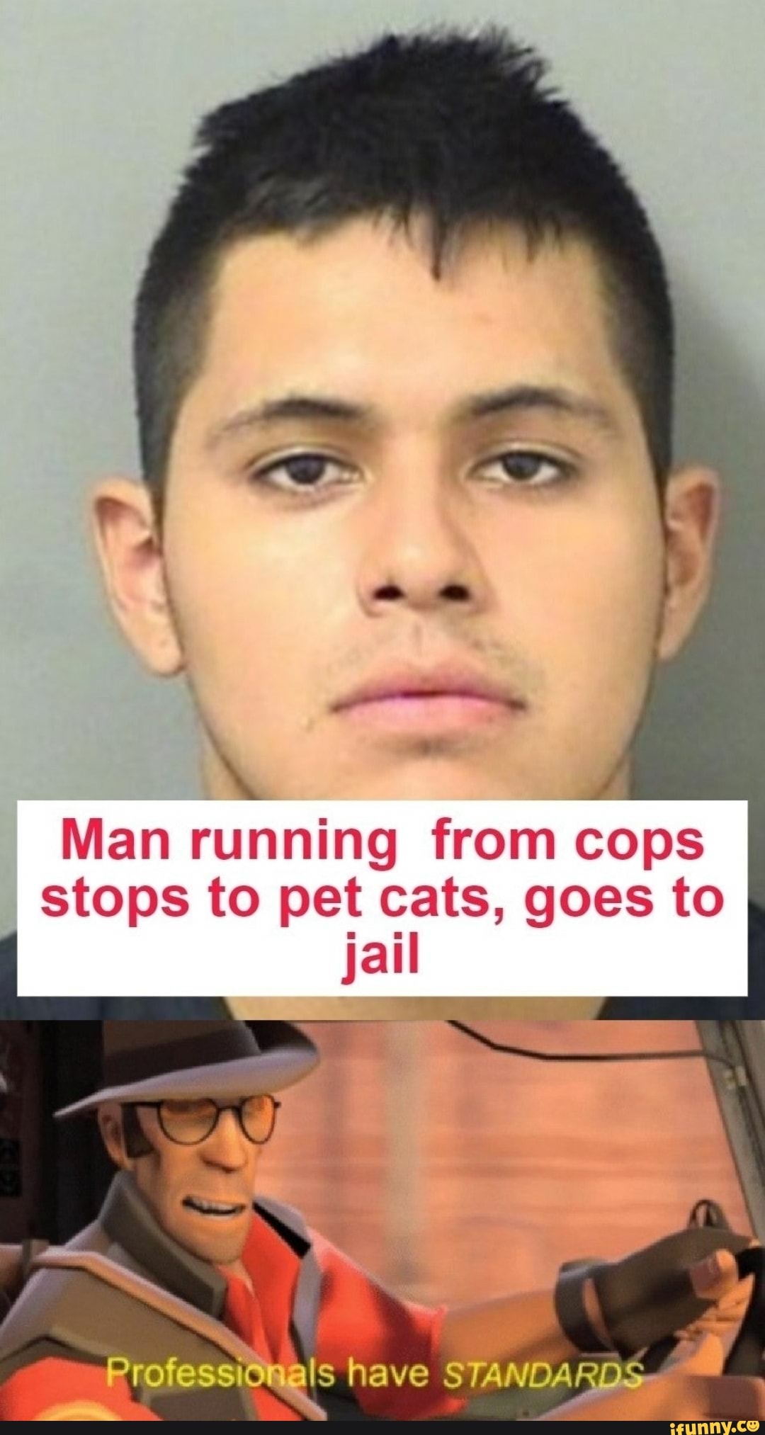 Man running from cops stops to pet cats, goes to jail AA IO STANDARD ...