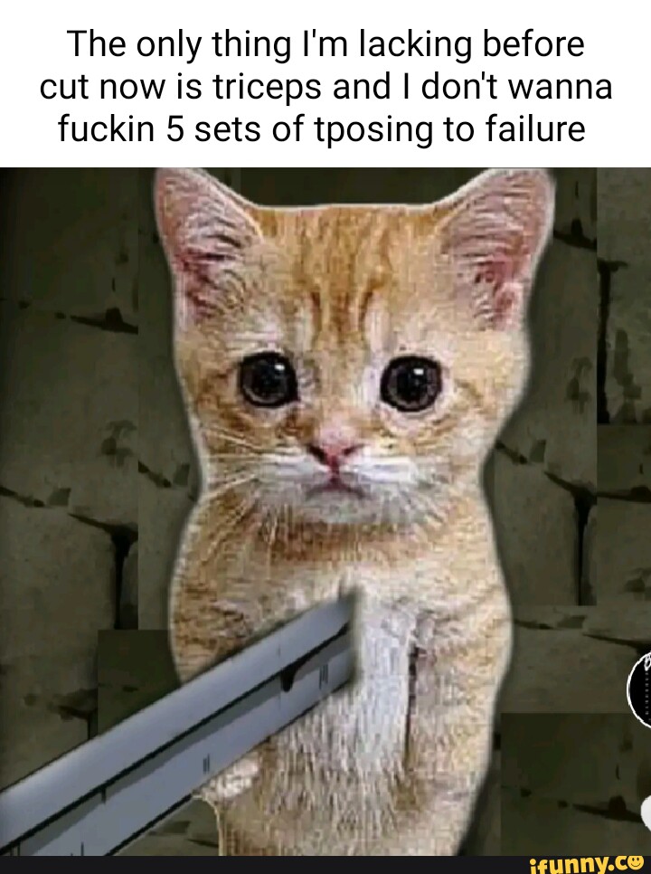 Triceps memes. Best Collection of funny Triceps pictures on iFunny