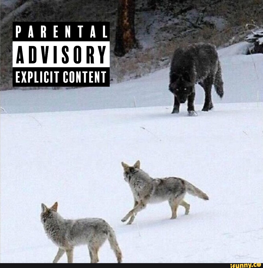 PARENTAL ADVISORY _ EXPLICIT CONTENT - iFunny