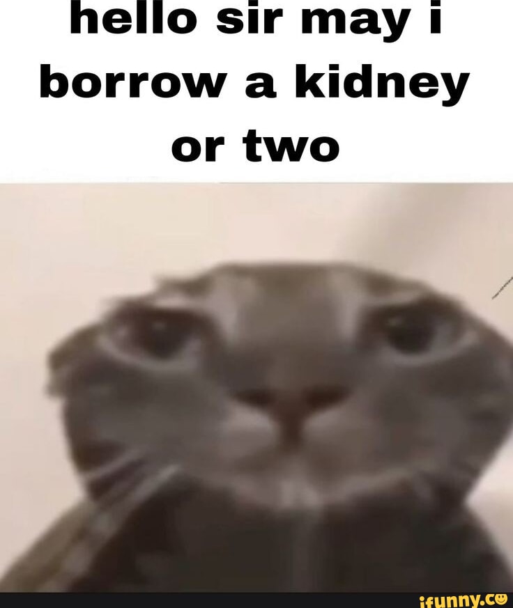 Kidney memes. Best Collection of funny Kidney pictures on iFunny