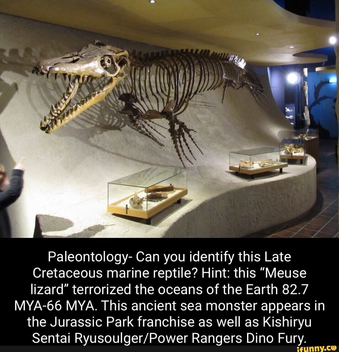Mosasaur memes. Best Collection of funny Mosasaur pictures on iFunny