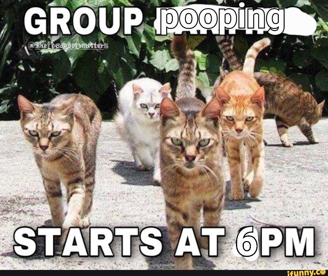 GROUP The_poopea_ The _master 'STARTS AT - iFunny