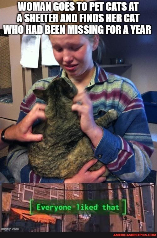 #wholesome_memes #meme #memes - WOMAN GOES TO PET CATS AT SHELTER AND ...