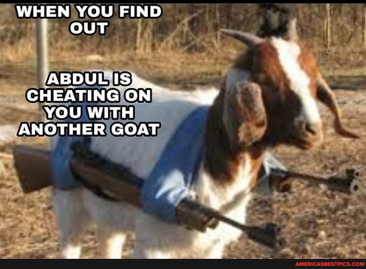 WHEN YOU FIND OUT ABDUL IS.__ CHEATING ON YOU WITH ANOTHER GOAT - America’s best pics and videos