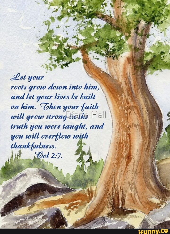 Let your roots grow down into him\ and let your lives be built on him ...