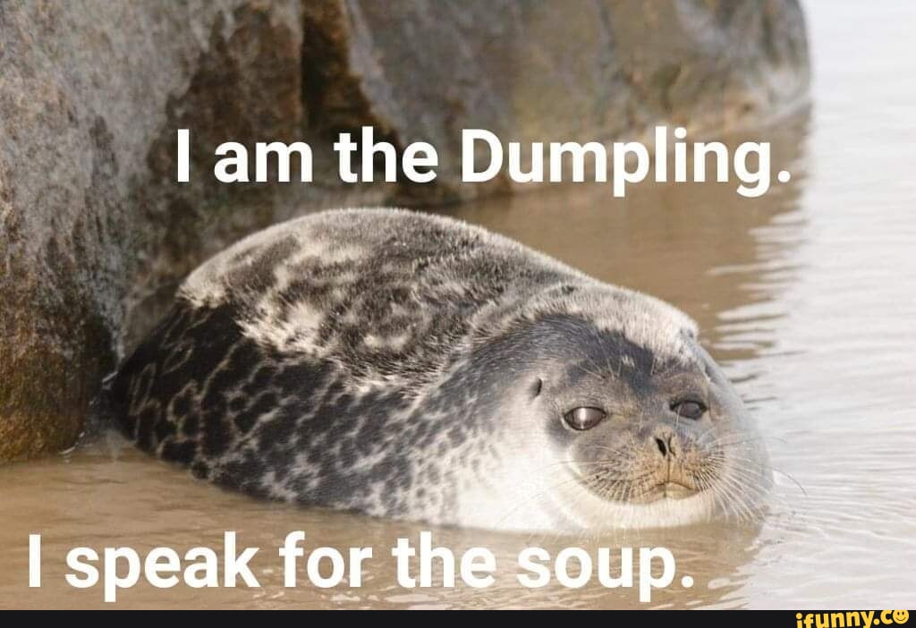 Dumpling memes. Best Collection of funny Dumpling pictures on iFunny