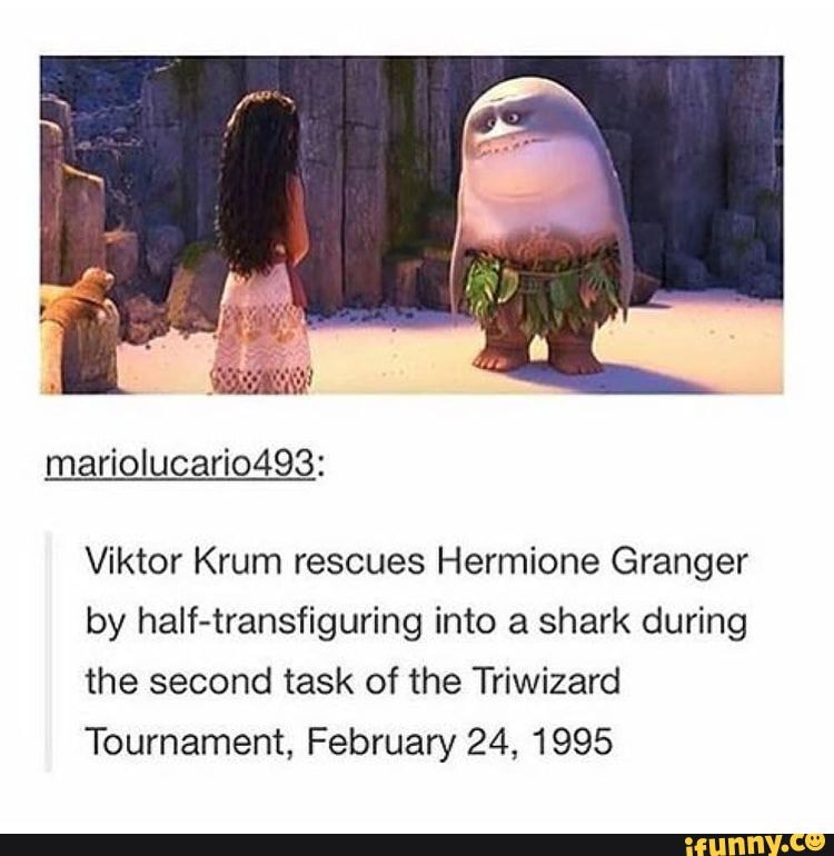 Mariolucario493: Viktor Krum rescues Hermione Granger by half ...