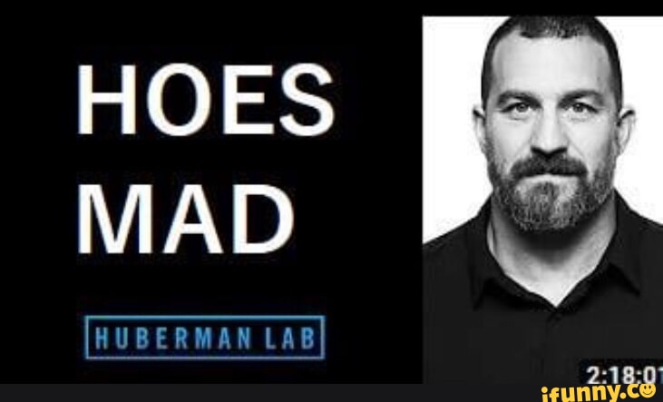 HOES MAD HUBERMAN LAB - iFunny
