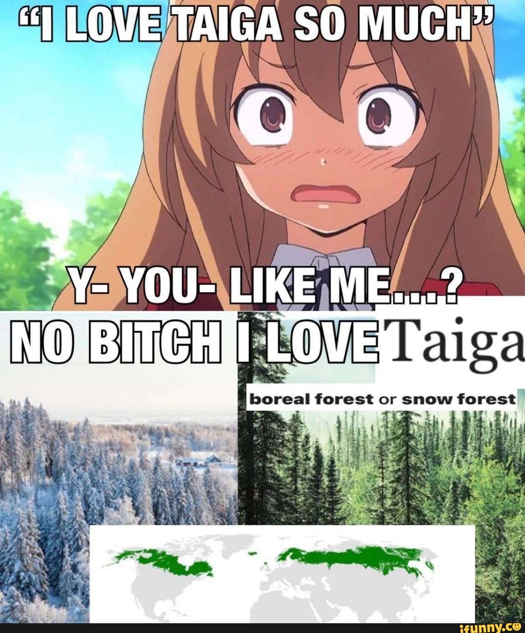 Toradora! memes memes. The best memes on iFunny