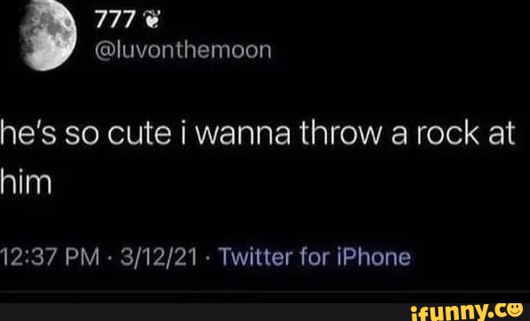 He's so cute wanna throw a rock at him PM Twitter for iPhone - iFunny