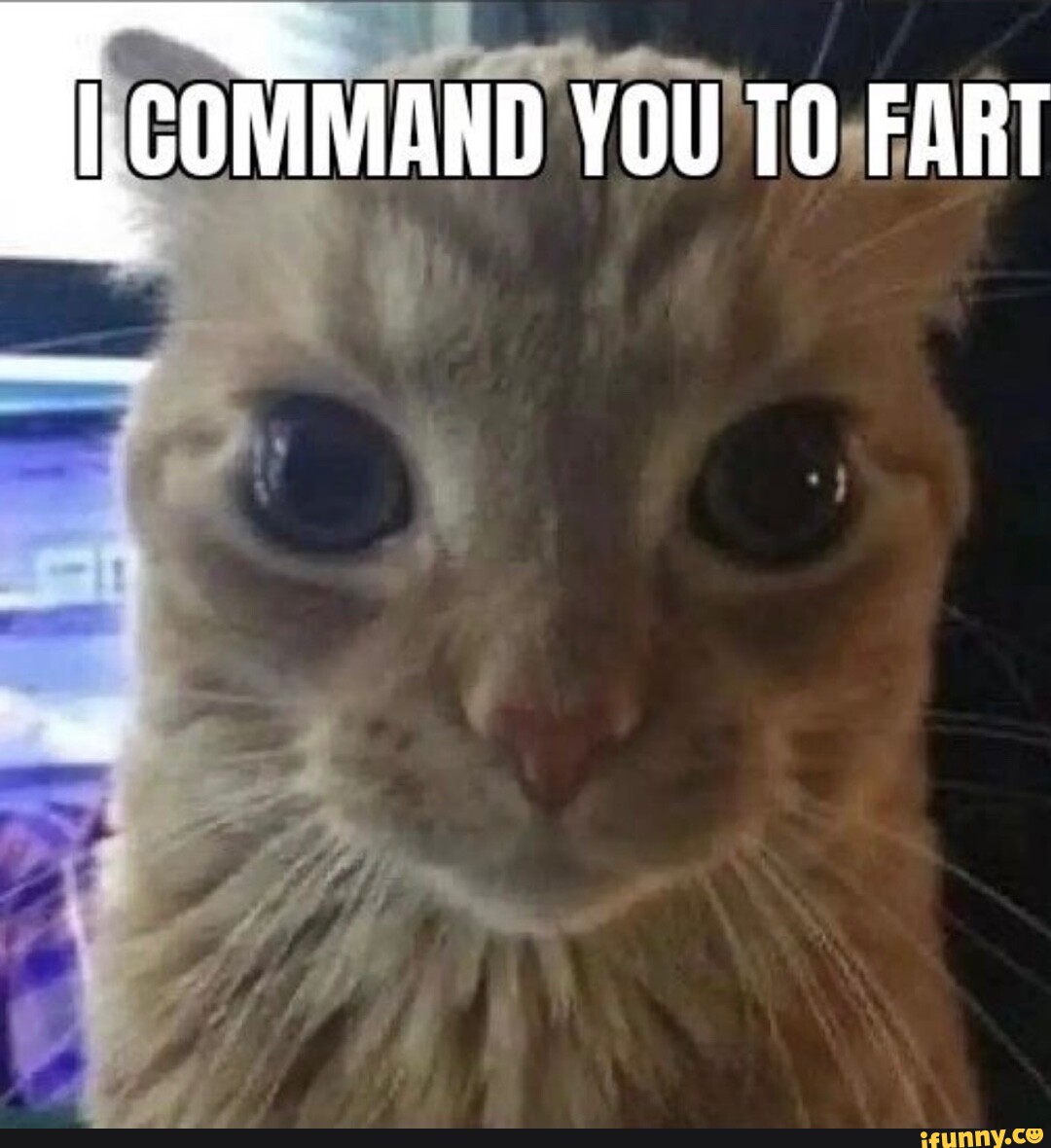 COMMAND YOU FART - iFunny