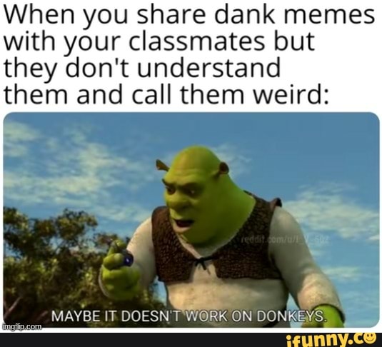 When you share dank memes with your classmates but they don't ...